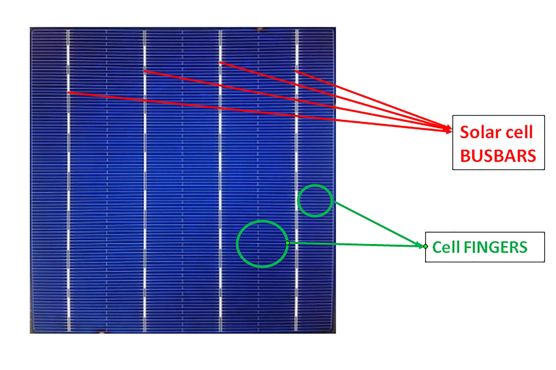 Improving Panel Efficiency Solar Cell Busbars And Fingers Novergy