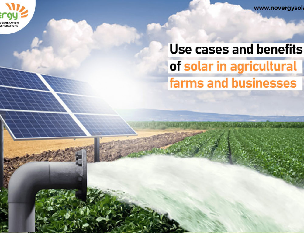 Agriculture's Bright Future with Novergy Solar Pumps